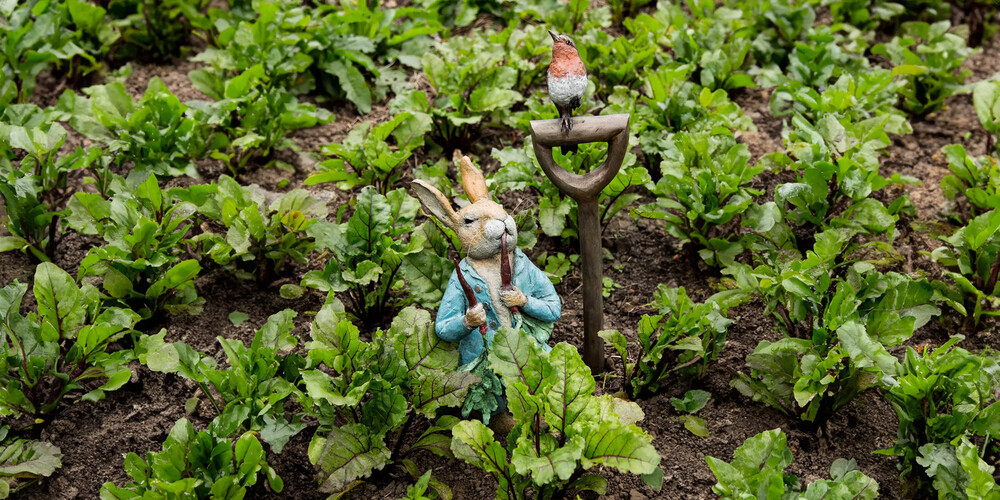 Beatrix Potter Garden Sculptures | Peter Rabbit and Robin | Robert ...