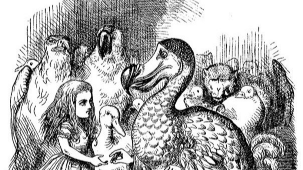 The Dodo and Mauritius | Robert James Workshop